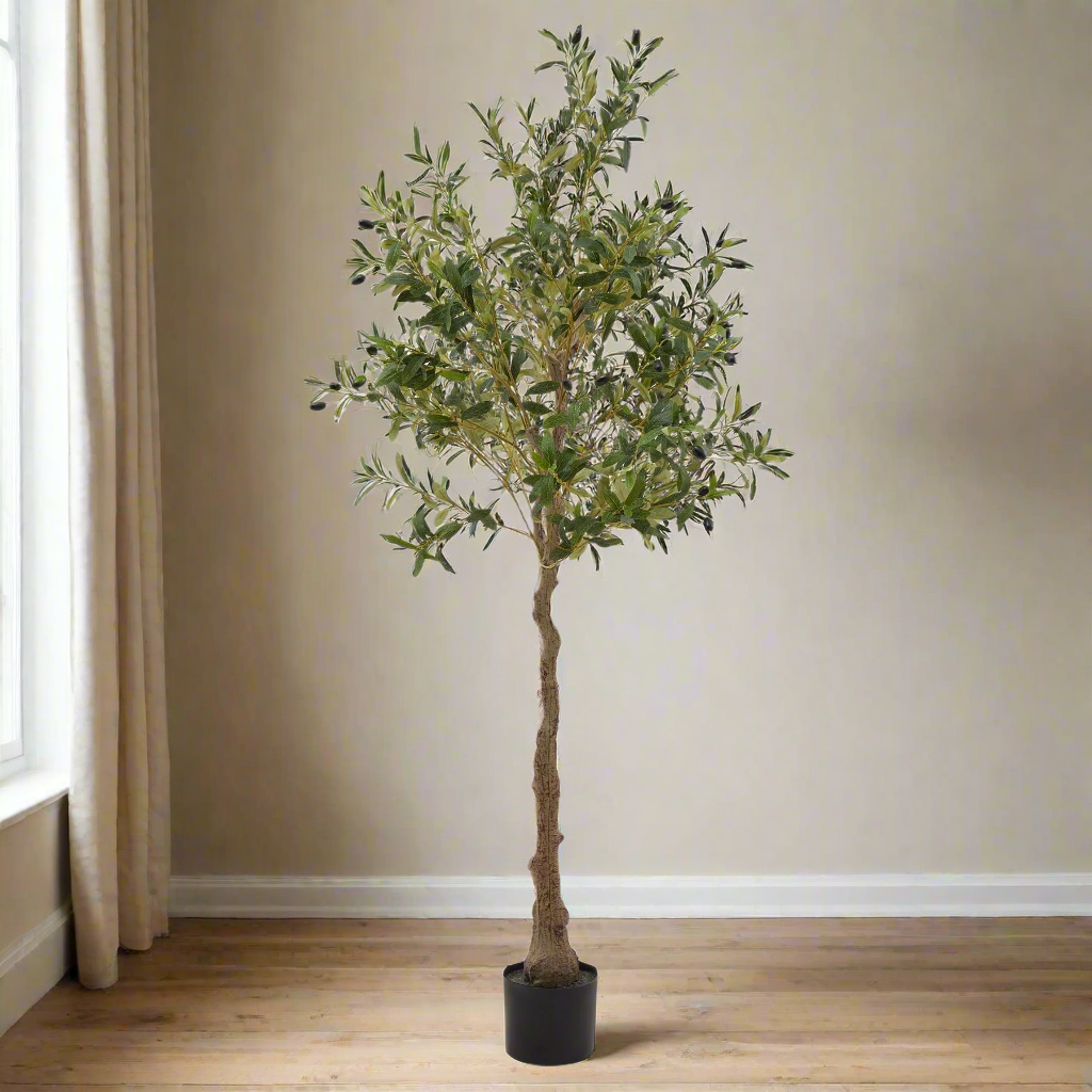 Calabria Olive Tree | Realistic Artificial Indoor Plant | Green & Gable